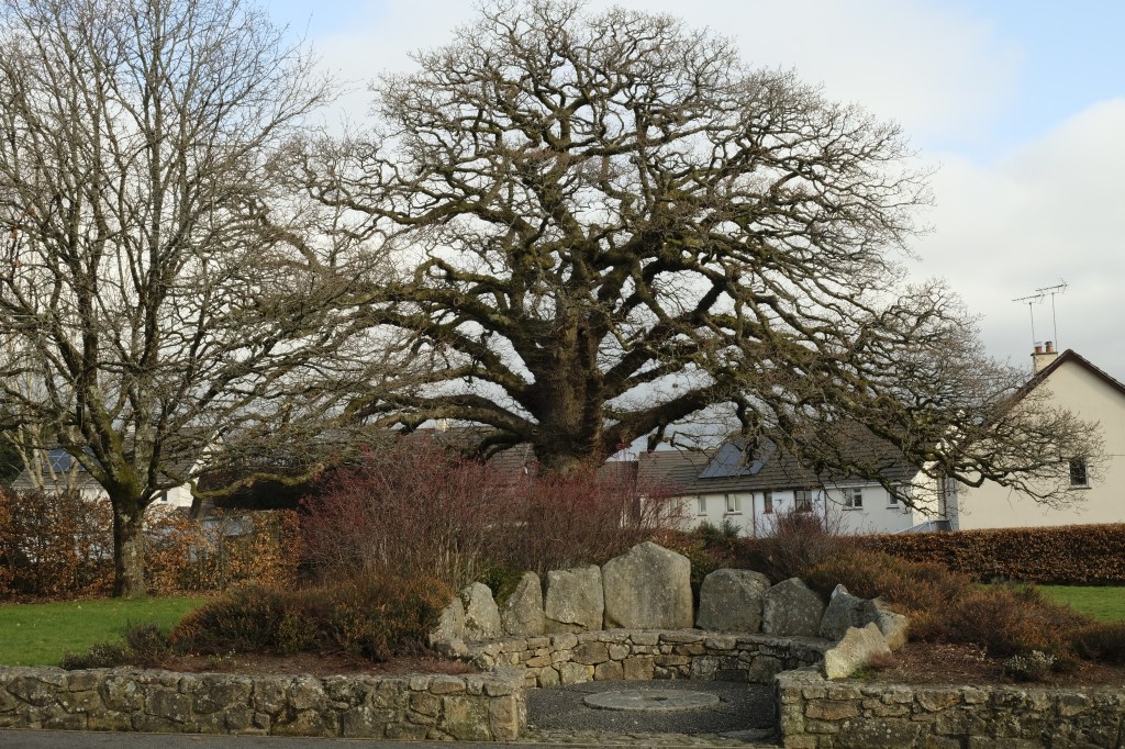 A Walk through #Sticklepath – Sticklepath a Village and its People