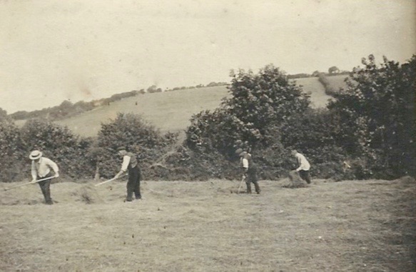 Sticklepath’s Harvest Festivals – Sticklepath a Village and its People
